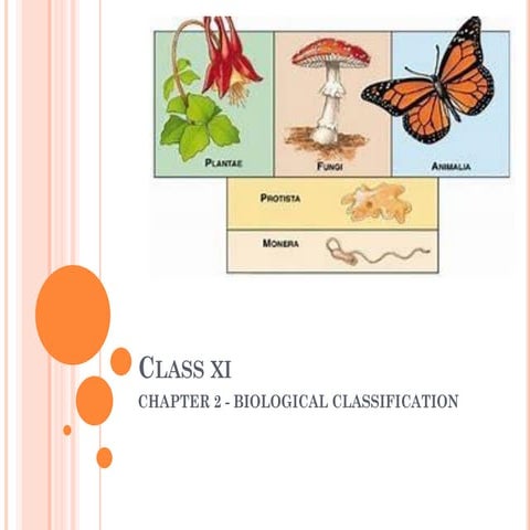 Classification of organisms | PPT