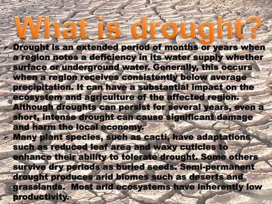 Drought ppt | PPTX | Agriculture | Industries