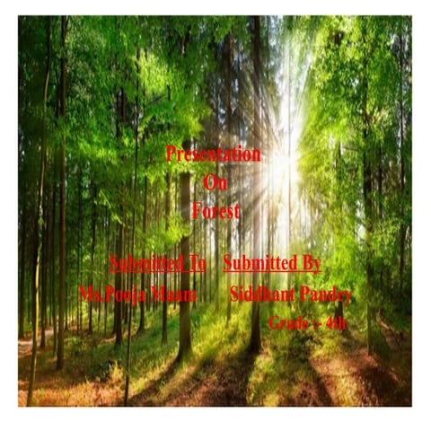 Ppt on FOREST and its different Type.pptx