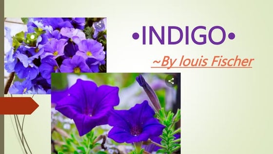 Ppt=indigo==xii part -1 | PPSX