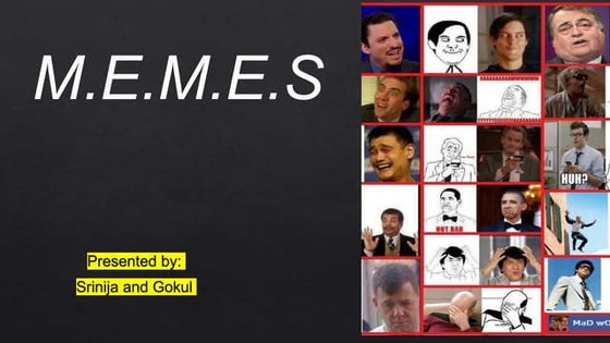 Advantages And Disadvantages Of Memes | PPTX | Science