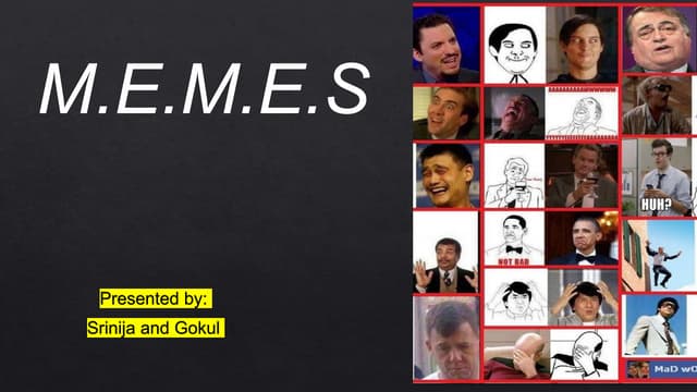 Presentation on memes | PPTX