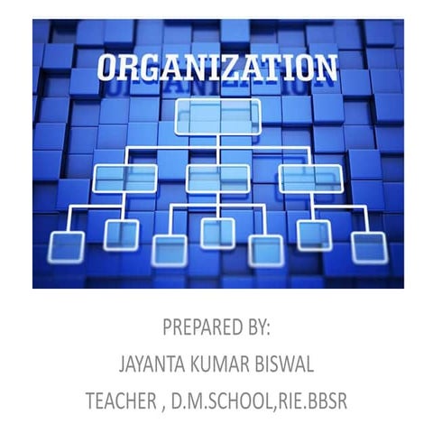 ORGANISATION STRUCTURE | PPT