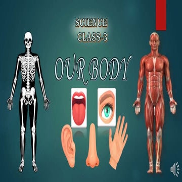 PPT on Our Body Class-3.pptx