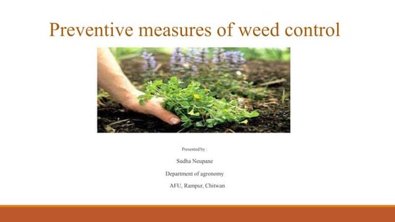 Methods of weed control | DOCX