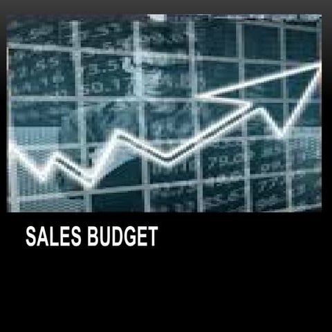 PPt on Sales Budget with Industry Examples.pptx