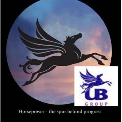 Ppt on ub group | PPTX