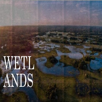 Introdution on Wetlands | PPTX