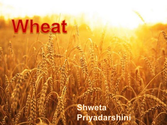 Strucuture of cereal grains and legumes | PPT