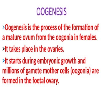 OOGENESIS. Class XII Biology presentation | PDF