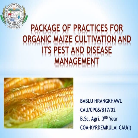 Organic agriculture packages and practices for maize | PPTX