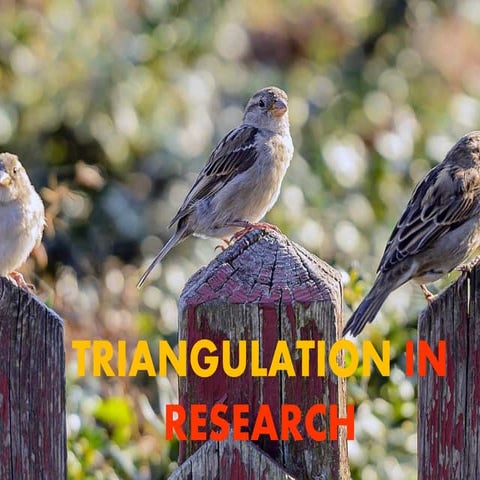 triangulation in research | PPTX