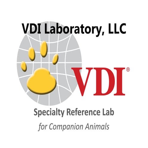 VDI Laboratory - Simple blood tests for Cancer | PDF | Cancer ...