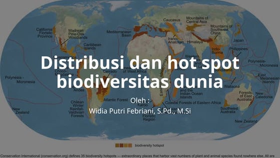 PPT Teori Medan Kristal Kimia Anorganik Lanjut.pptx