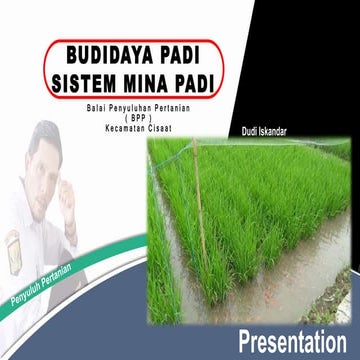 PPT Padi Mina Padi_DUDI iSKANDAR BPP CISAAT.pptx