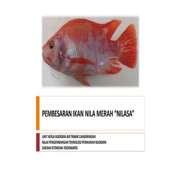 Teknik Pembesaran Nila Merah Nilasa di Balai PTPB DIY | PPTX