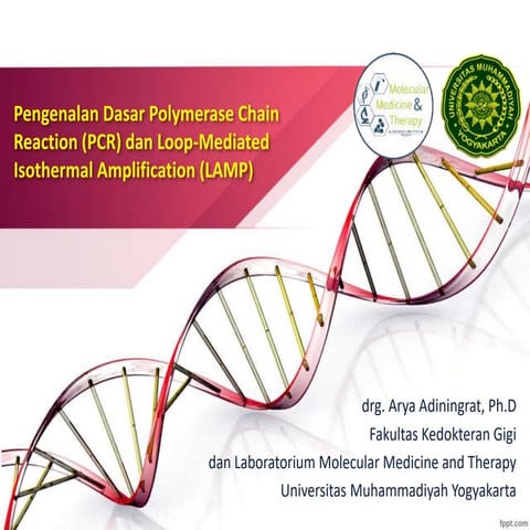 PPT Pengenalan Dasar Polymerase Chain Reaction (PCR) dan Loop-Mediated ...