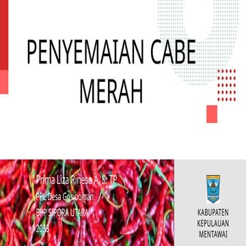 ppt penyemaian pada cabe merah dibuat oleh Prima Liza | PPTX
