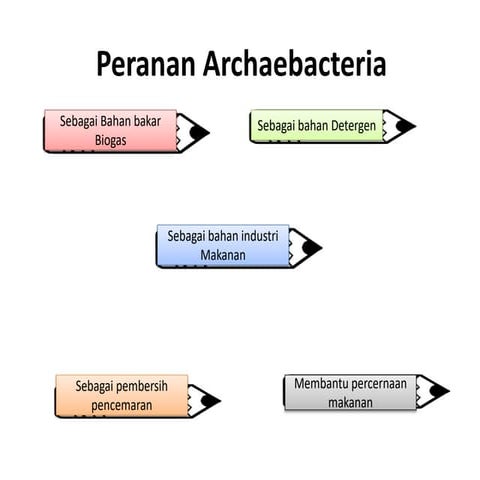 ppt peranan organisasi archaebacteria.pptx