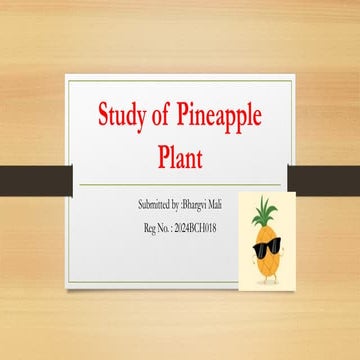ppt pineapple.pptx ppt related to pineapple | PPTX