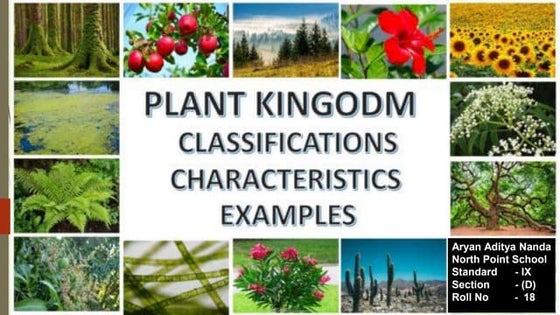 Five-Kingdom-Classification-biology-favorite | PPT