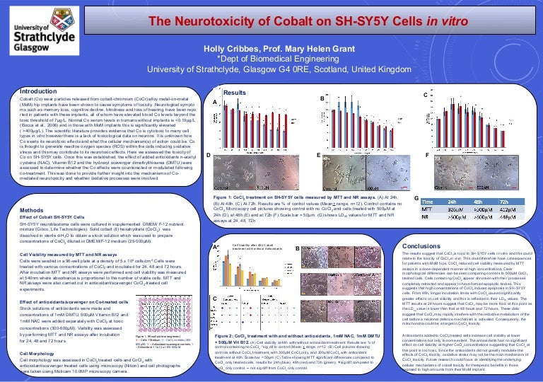 Thesis Poster Presentation