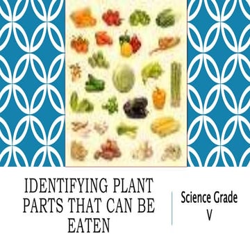 IDENTIFYING PLANT PARTS THAT CAN BE EATEN | PPTX