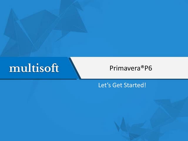 PPT for Primavera P6.pptx