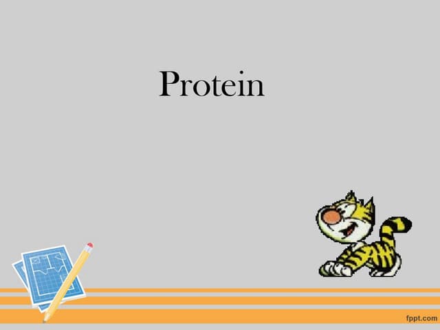 PPT PROTEIN | PPTX