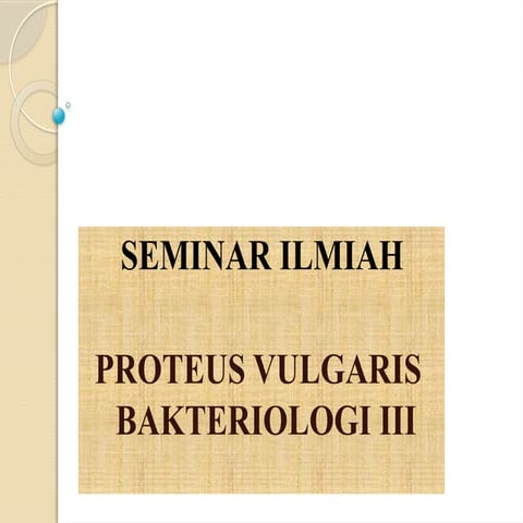 PPT PROTEUS VULGARIS Arnita E.Manurung TLM IIA.pptx