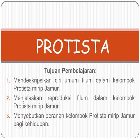 Ppt protista mirip jamur | PPTX