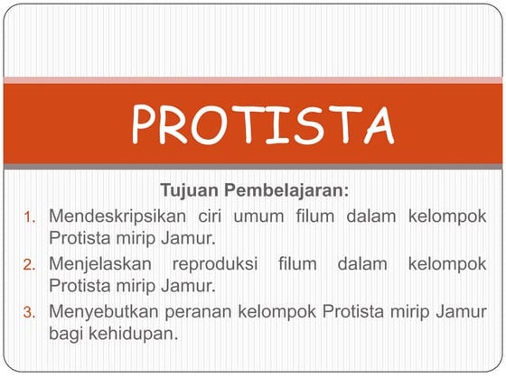 Protista | PPTX