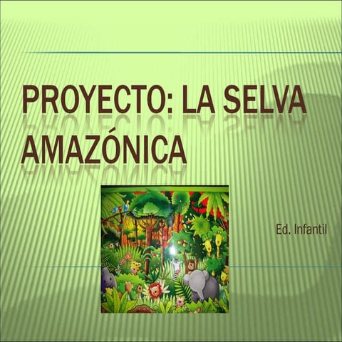 Proyecto La selva amazónica | PPT