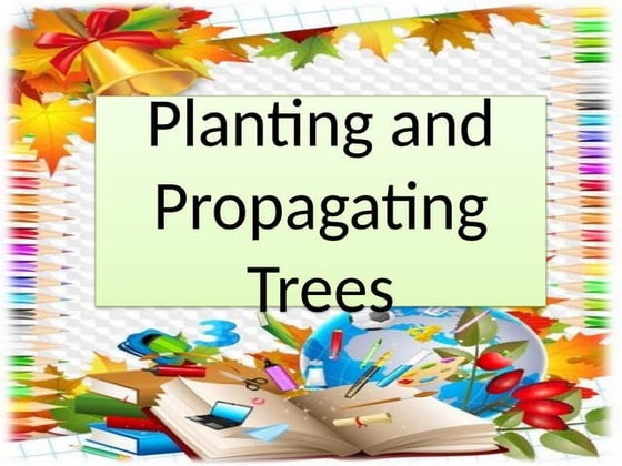 TLE 6 AGRICULTURE WEEK 1-Lesson 1: Importance of Planting Trees and Fruit-Bearing Trees | PPTX ...