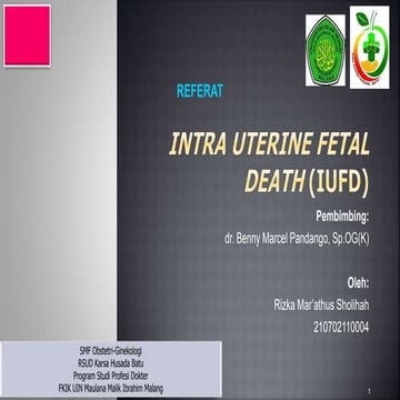 PPT Referat Rizka.pptx