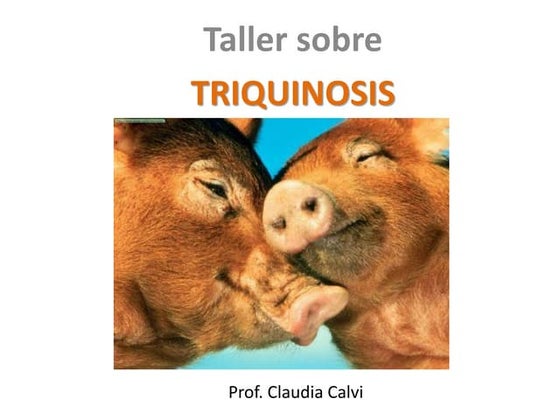 Cuc - Triquina | PPT