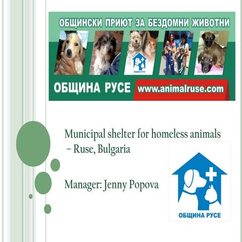 Municipal shelter for homeless animals – Ruse, Bulgaria | PPT