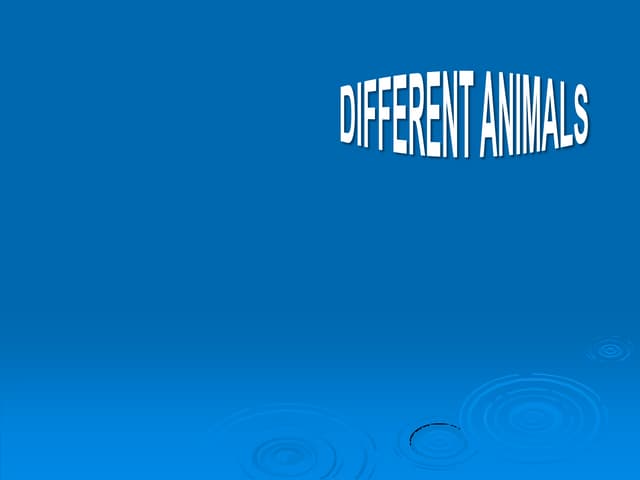 Animals & their habitat | PPTX