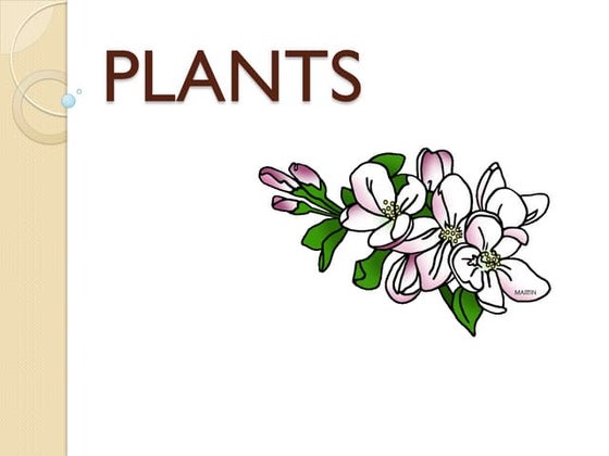 plants needs and plants parts chapter3.grade 3 | PPTX