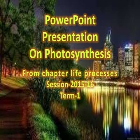 photosynthesis basics study for class 10th | PPTX