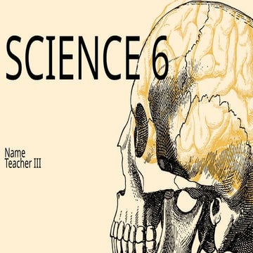Science Powerpoint in Grade 6 for Reclass | PPTX