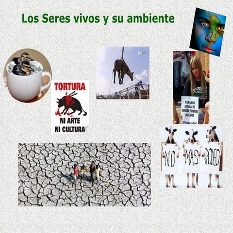 Ppt seres vivos y su ambiente. | PPT