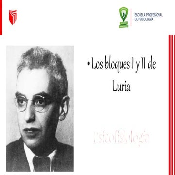 UNIDADES FUNCIONALES DE LURIA.pdf