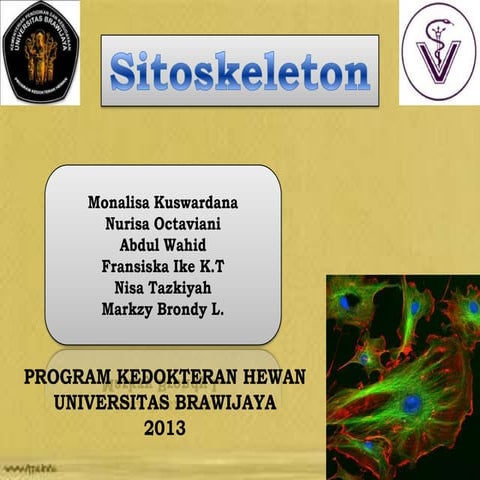 Ppt sitoskeleton | PPTX