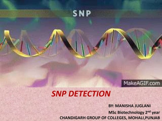 Single Nucleotide Polymorphism Snp Ppt