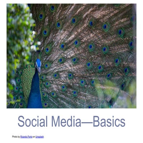 Social Media Basics | PPTX