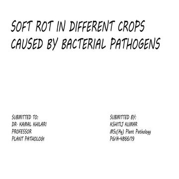 bacterial soft rot | PPTX