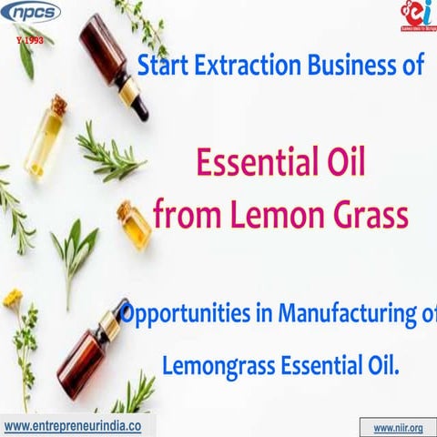 Start Extraction Business of Essential Oil from Lemon Grass ...