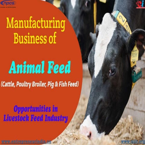 Manufacturing Business of Animal Feed (Cattle, Poultry Broiler, Pig ...