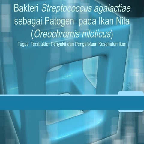 PPT Streptococcus agalactiae pada ikan Nila | PPT